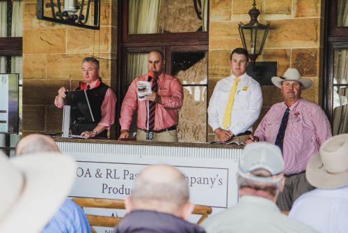 NIOA Pastoral Company - About