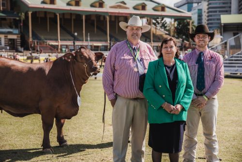 NIOA Pastoral Company - About